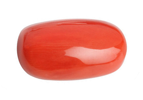Coral (Moonga) – CLARA